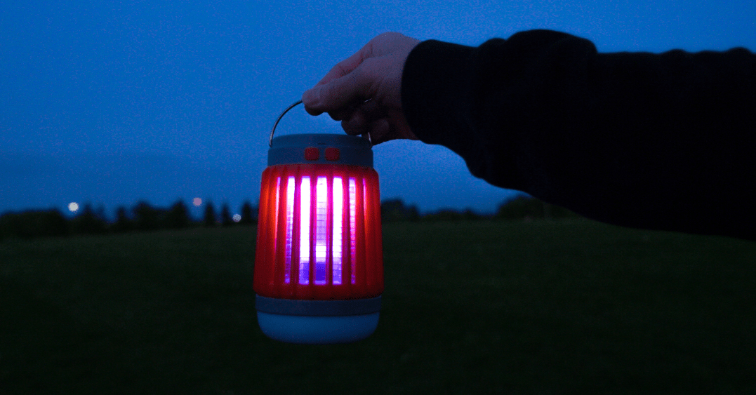 The Astonishing Thing That Wiped Out Mosquitoes (And Saved Our Camping ...